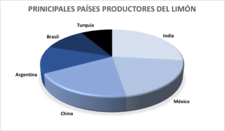 El LIMÓN: Conoce Todo Acerca de Este Fruto y el Porqué de su Consumo ...